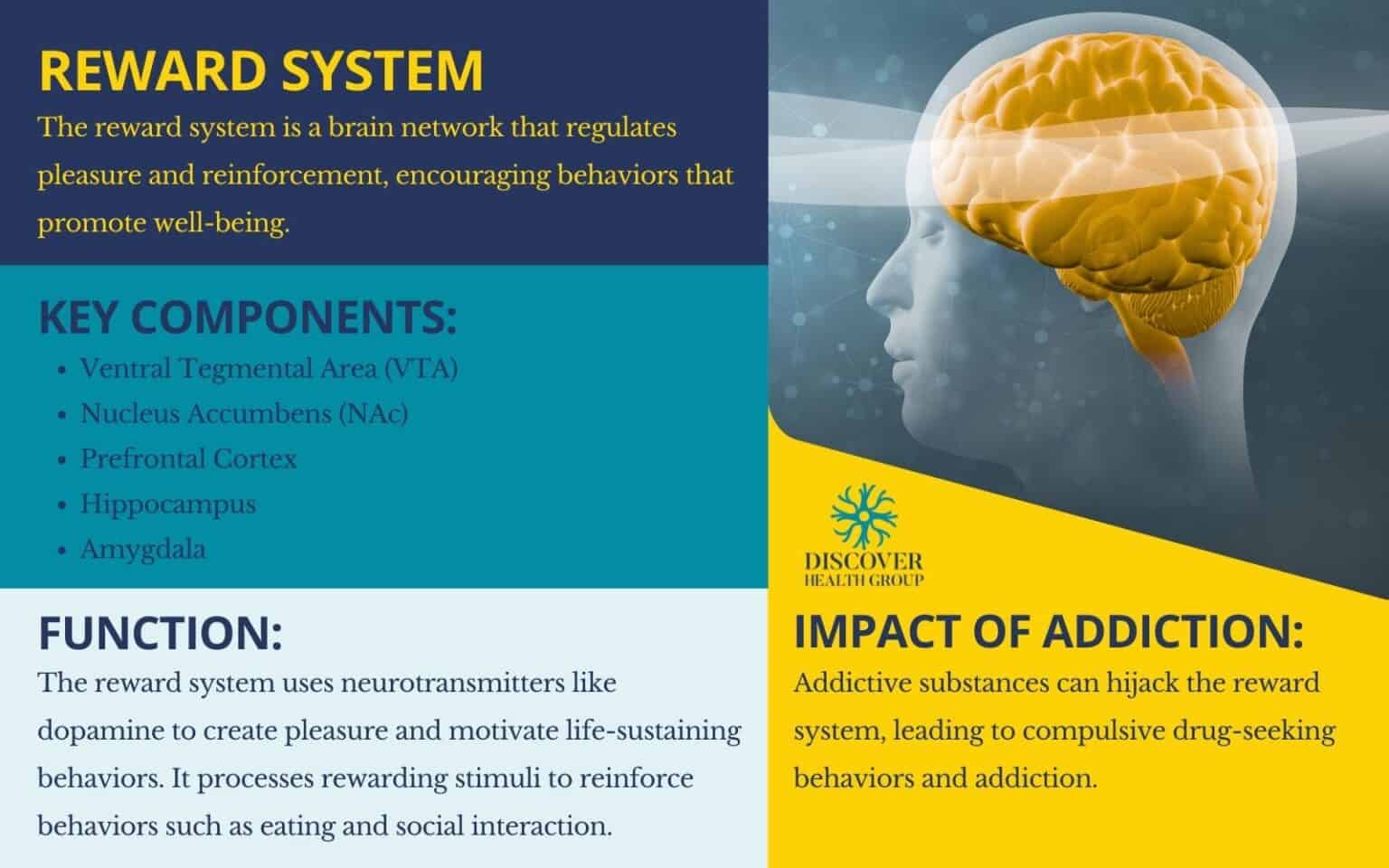 Reward System: Function, Addiction Impact, and Genetics